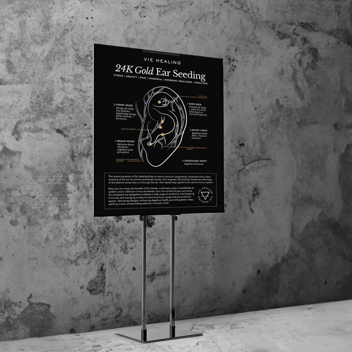 Ear Seeding Display + Stand – VIE HEALING Backbar